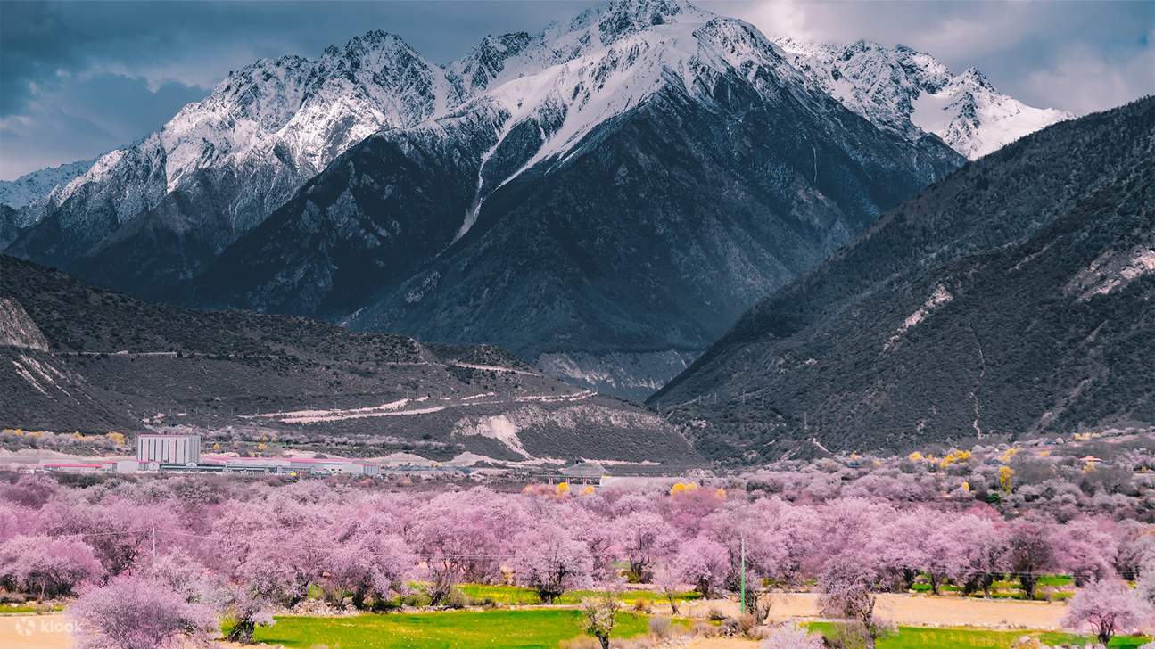 [Eksklusif untuk tamu asing] Tur pribadi 3 hari di Nyingchi, Tibet ...